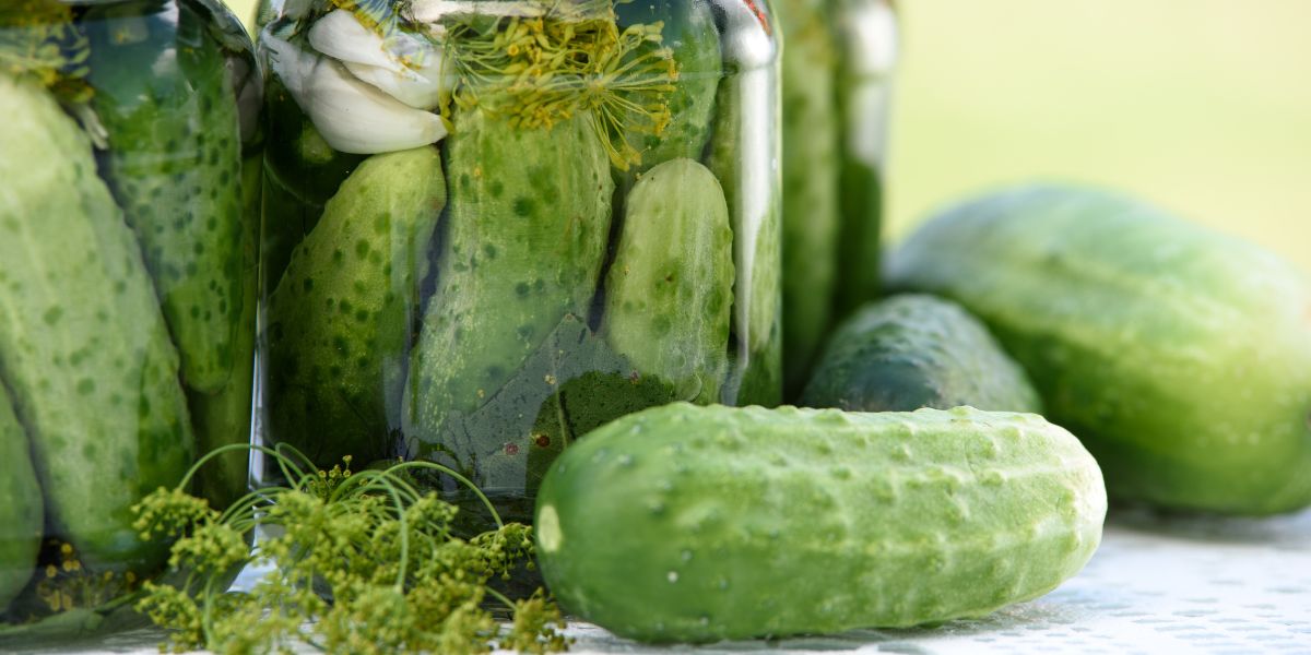 A Arte Culinária Desvendada: Como Fazer Picles em Casa" - Receitas ...